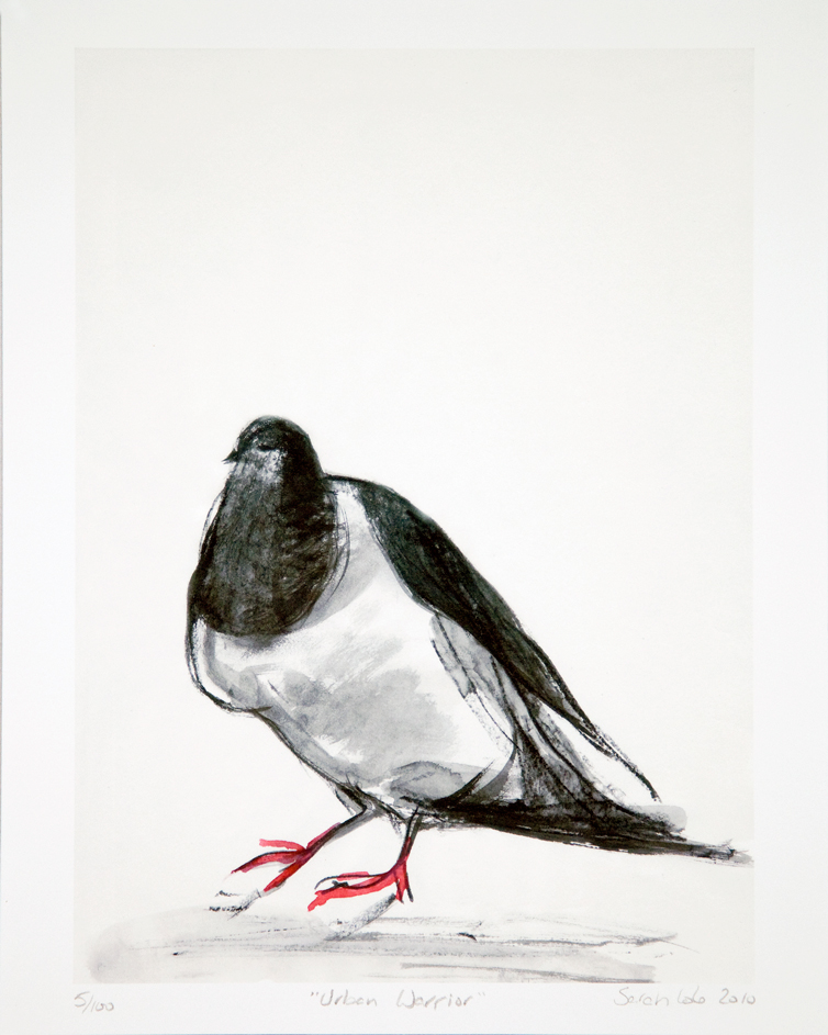 Sarah Cole: About the artist | ArtShop